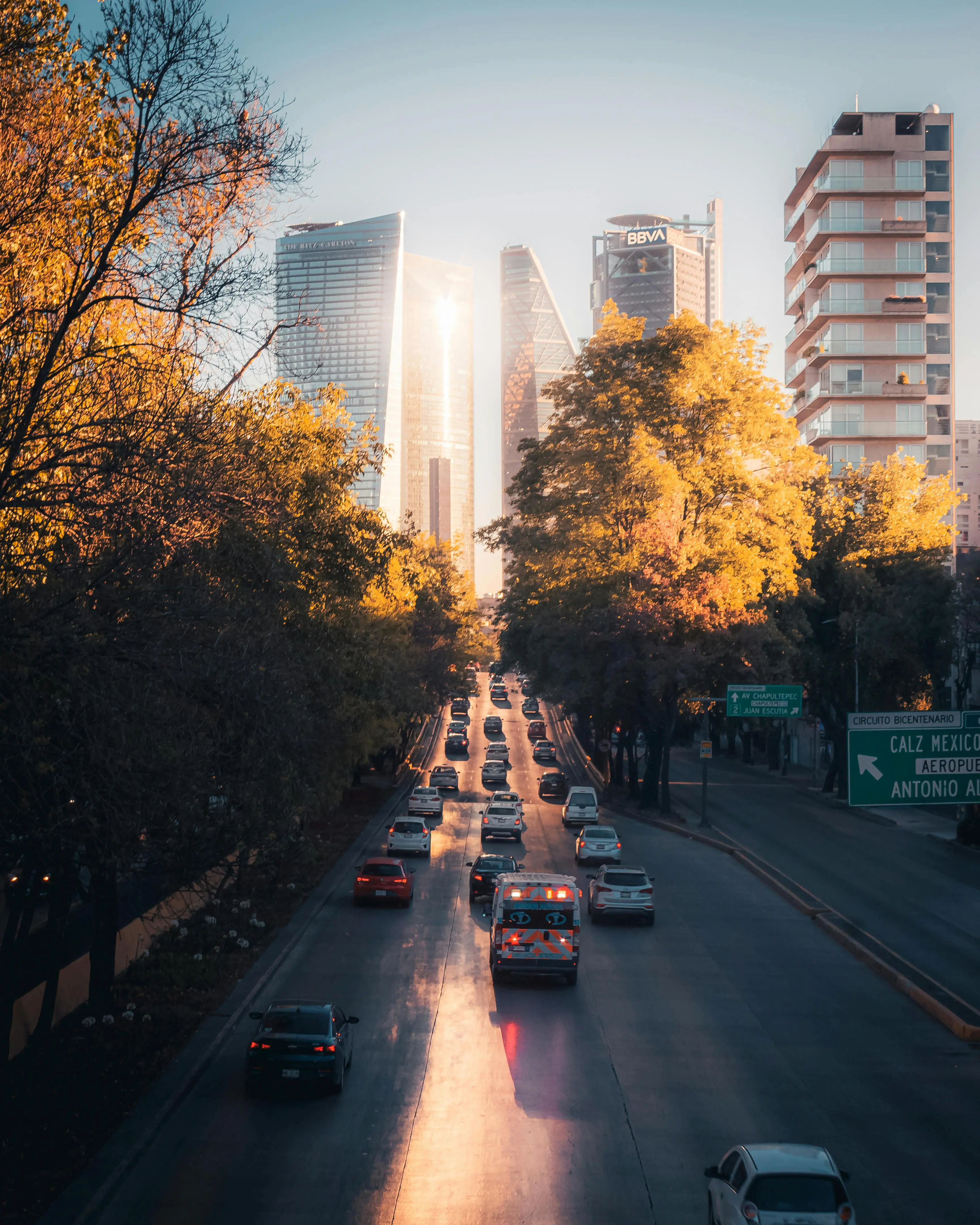 Long Term Rentals Mexico City: Your Guide to Monthly Rentals and ...